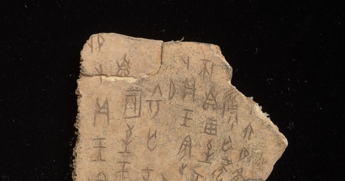 WongAvery Collection of Chinese Materials : 剑桥大学金璋甲骨收藏