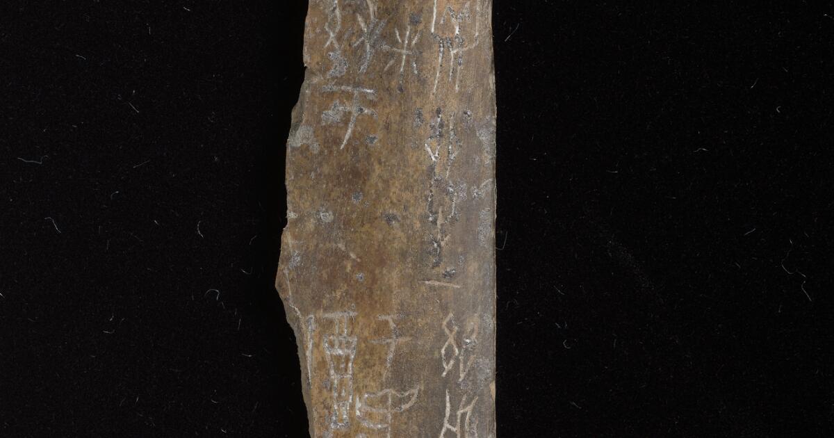 WongAvery Collection of Chinese Materials : 剑桥大学金璋甲骨收藏