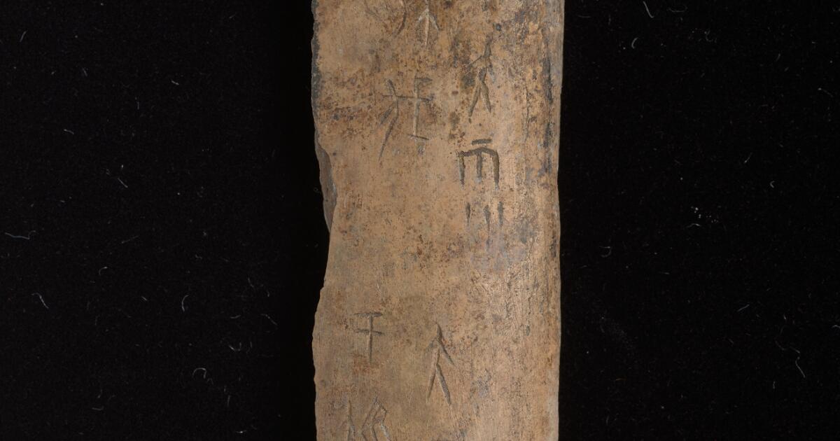 WongAvery Collection of Chinese Materials : 剑桥大学金璋甲骨收藏