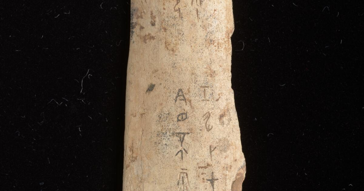 WongAvery Collection of Chinese Materials : 剑桥大学金璋甲骨收藏