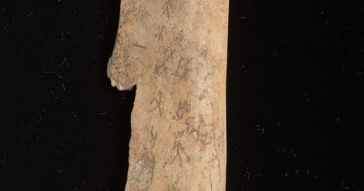 WongAvery Collection of Chinese Materials : 剑桥大学金璋甲骨收藏