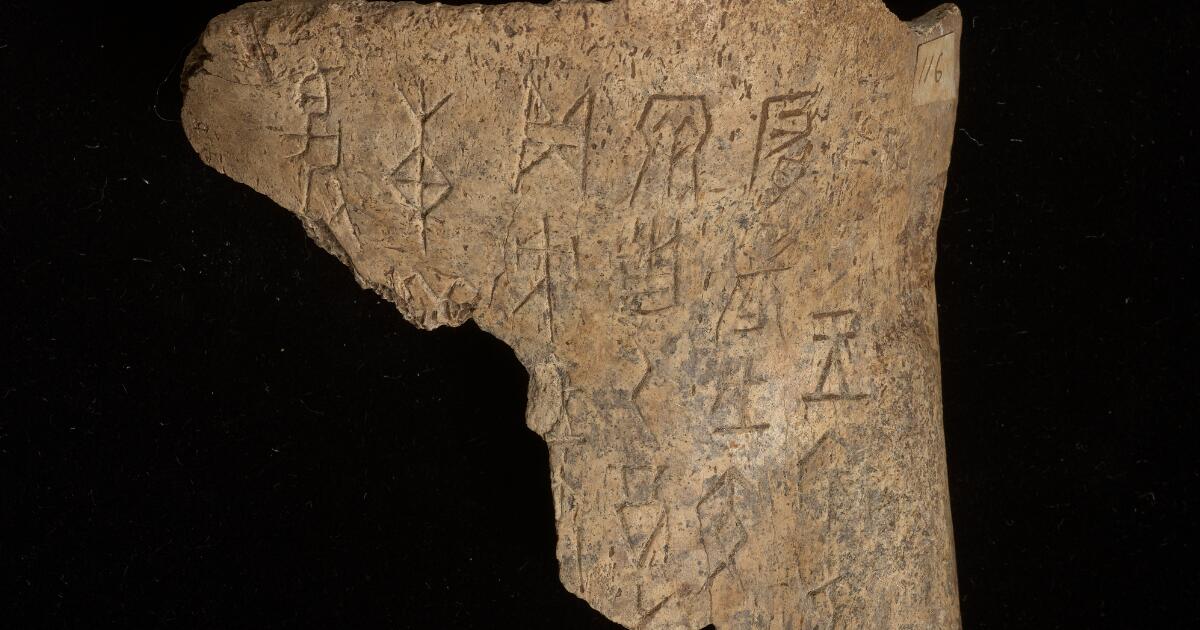 WongAvery Collection of Chinese Materials : 剑桥大学金璋甲骨收藏