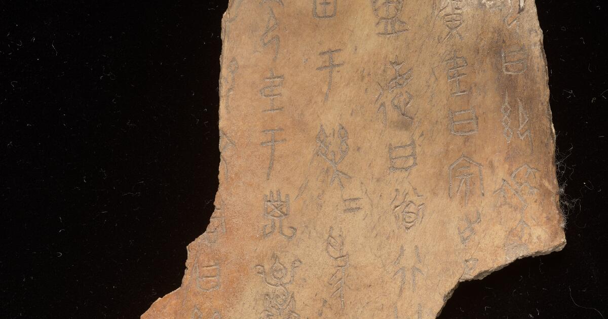 WongAvery Collection of Chinese Materials : 剑桥大学金璋甲骨收藏