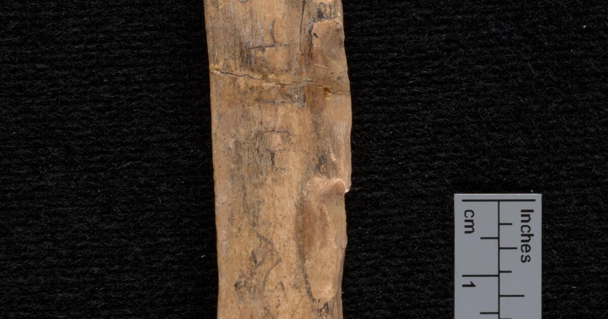 Chinese Works : Chinese Oracle Bones