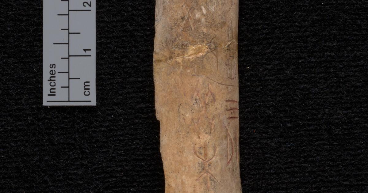 Chinese Works : Chinese Oracle Bones