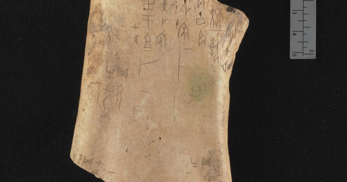 Chinese Works : Chinese Oracle Bones