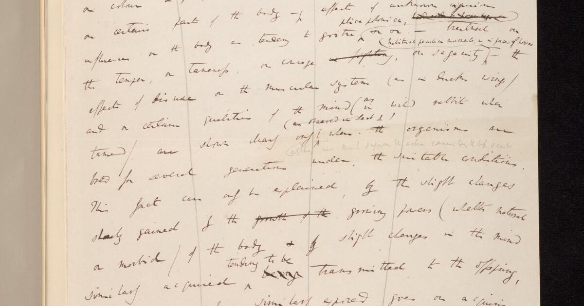 Darwin Manuscripts : 1842 Pencil Sketch; 1844 Essay Part 1, Draft A ...
