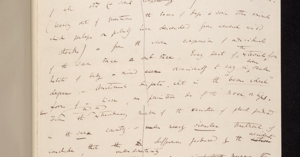 Darwin Manuscripts : 1842 Pencil Sketch; 1844 Essay Part 1, Draft A ...