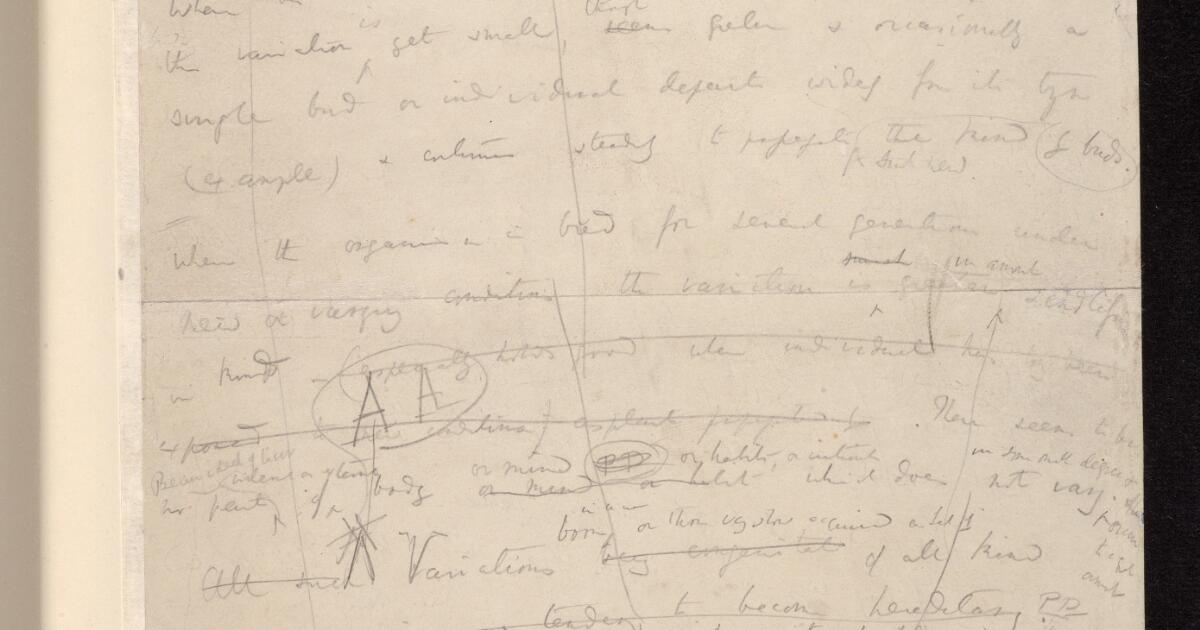 Darwin Manuscripts : 1842 Pencil Sketch; 1844 Essay Part 1, Draft A ...