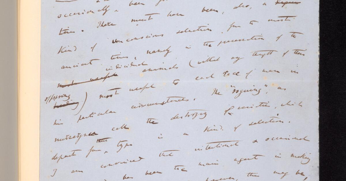 Darwin Manuscripts : 1842 Pencil Sketch; 1844 Essay Part 1, Draft A ...