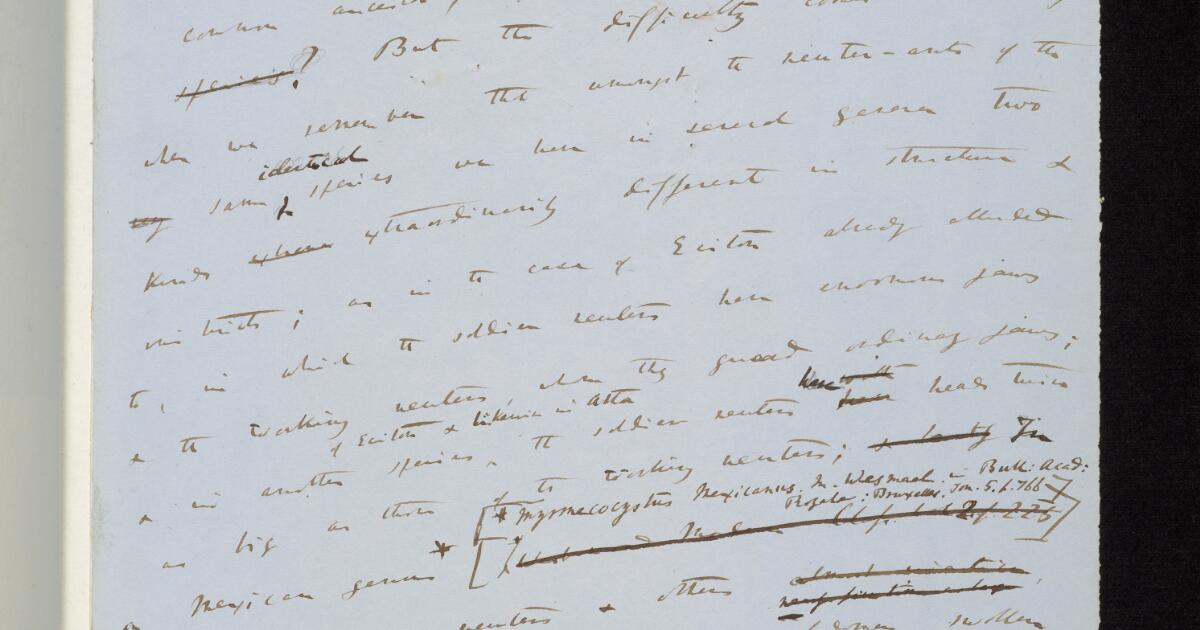 Darwin Manuscripts : 'Natural Selection', chap. 8: