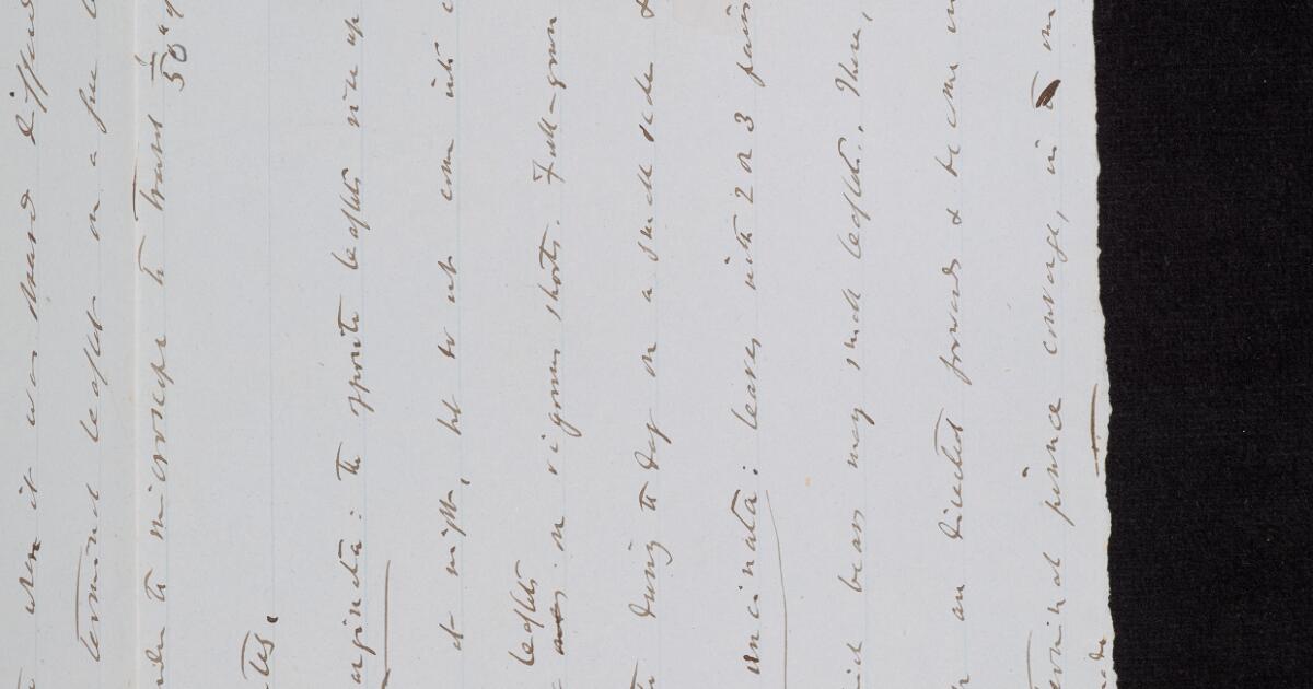 Darwin Manuscripts : Notes, 1868-1882. Botanical topics, variation ...