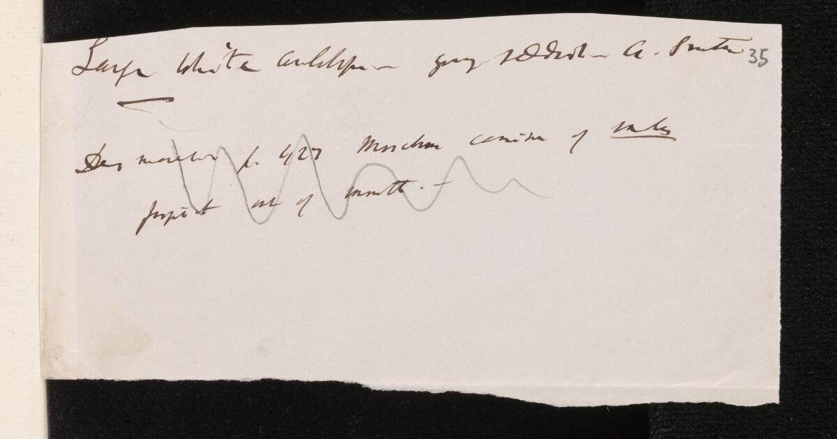 Darwin Manuscripts : Descent Portfolios 1st edn, Sexual Selection: Mammals: