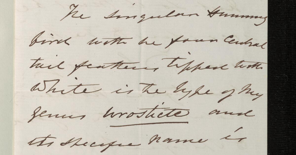 Darwin Manuscripts : Letters & Prints (woodcuts -- details of feathers ...