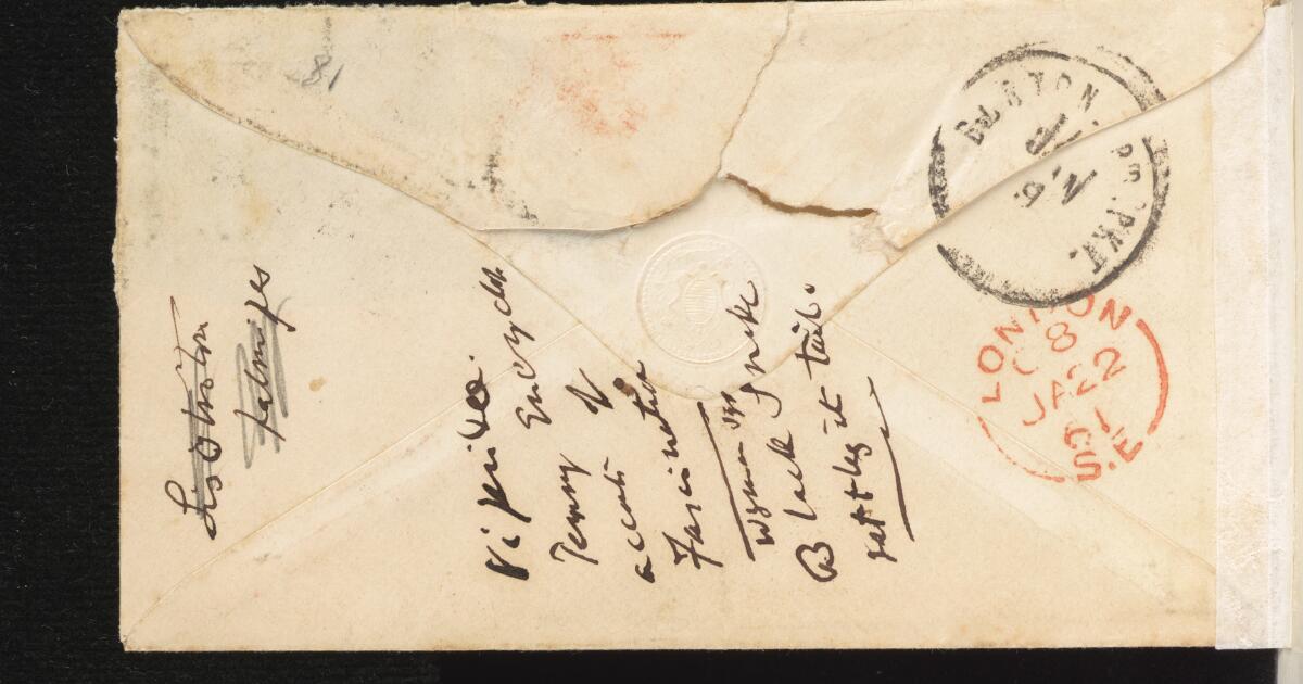 Darwin Manuscripts : Descent Portfolios 2nd edn (1874) Diverse topics: