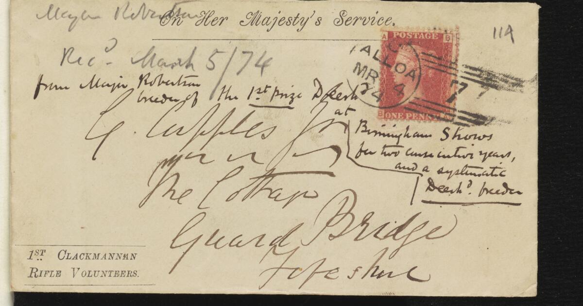 Darwin Manuscripts : Descent Portfolios 2nd edn (1874) Races: