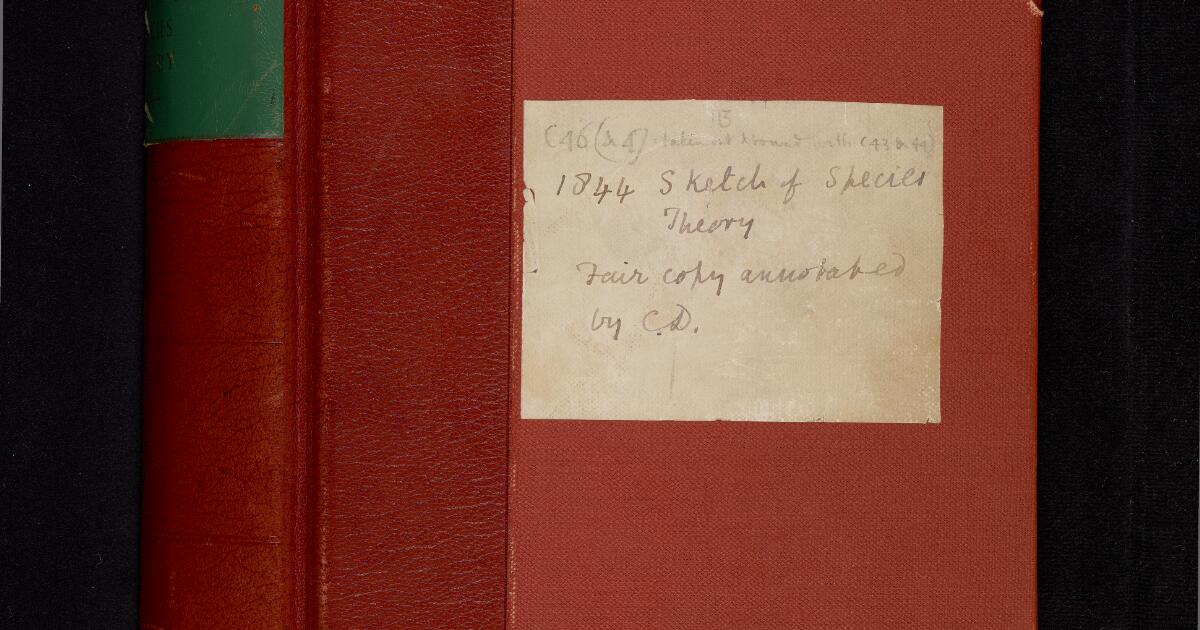 Darwin Manuscripts : 1844 Essay, fair copy: