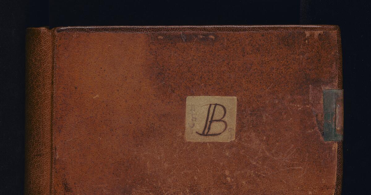 Darwin Manuscripts : Notebook B