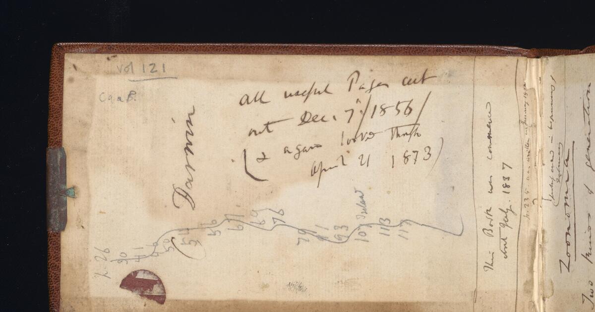 Darwin Manuscripts : Notebook B