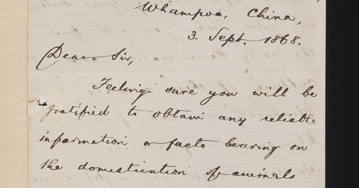 Darwin Manuscripts : Letters received: Haast - Hyatt