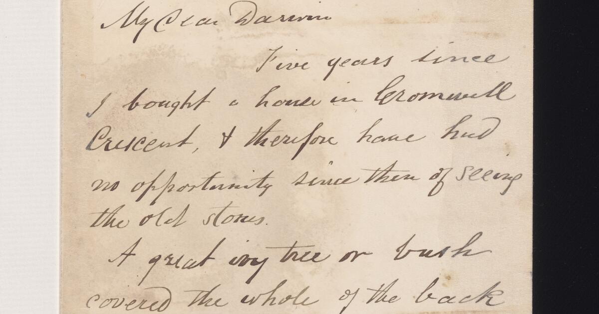 Darwin Manuscripts : Letters received: Radovanovitch - Rye