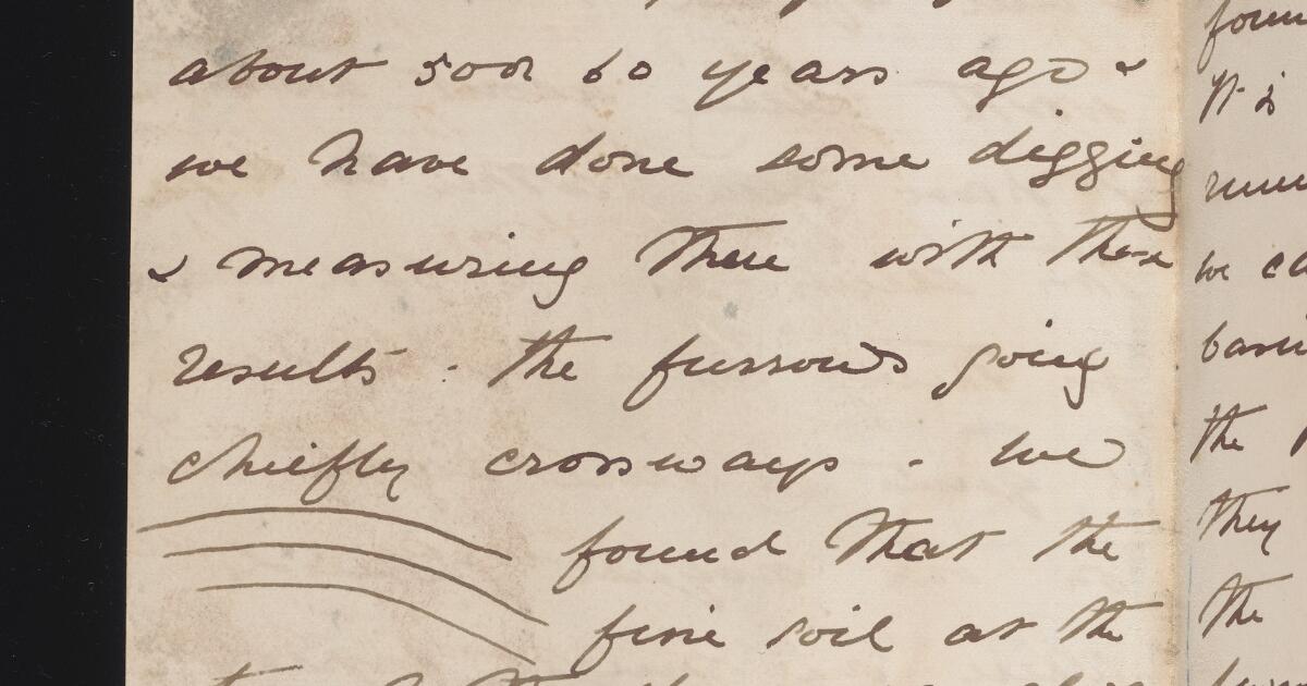 Darwin Manuscripts : Letters received: Radovanovitch - Rye