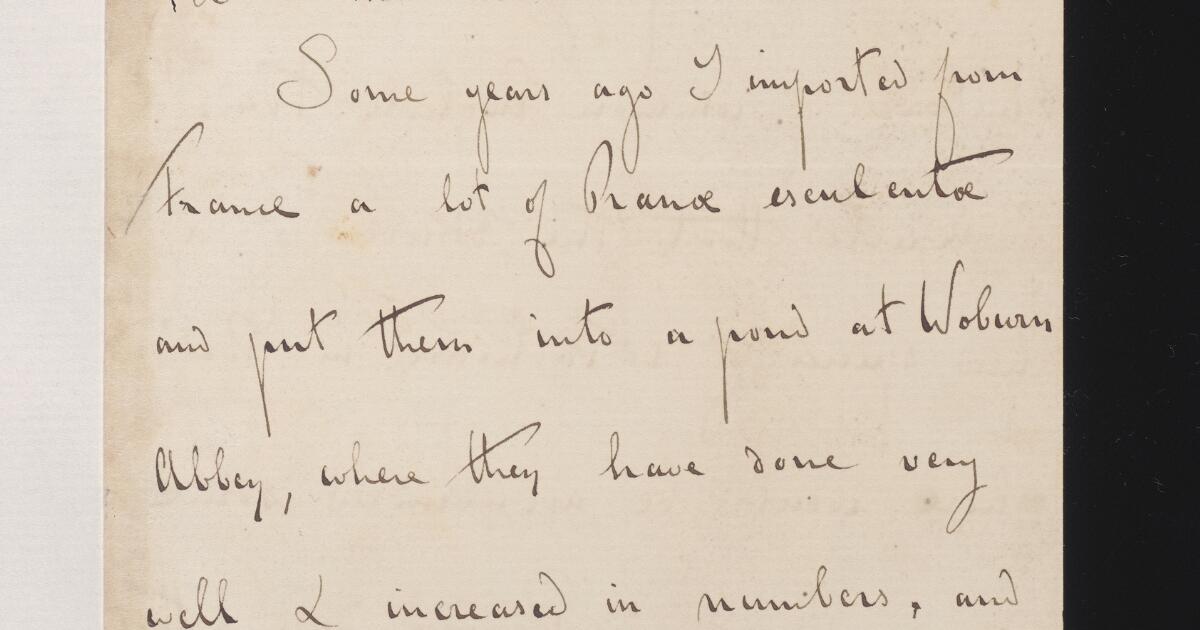 Darwin Manuscripts : Letters received: Radovanovitch - Rye