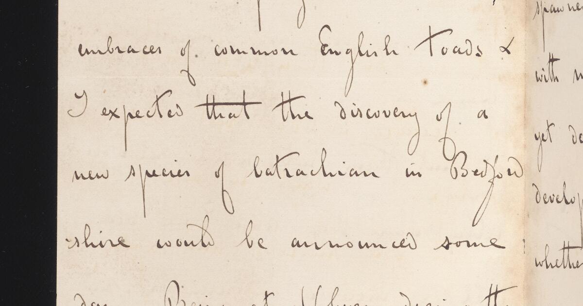Darwin Manuscripts : Letters received: Radovanovitch - Rye