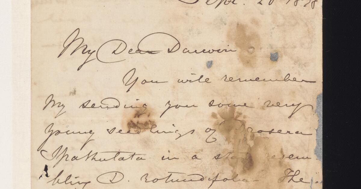 Darwin Manuscripts : Letters received: Wade - Wyman