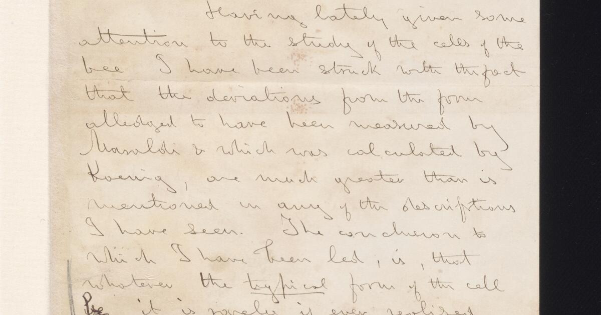 Darwin Manuscripts : Letters received: Wade - Wyman