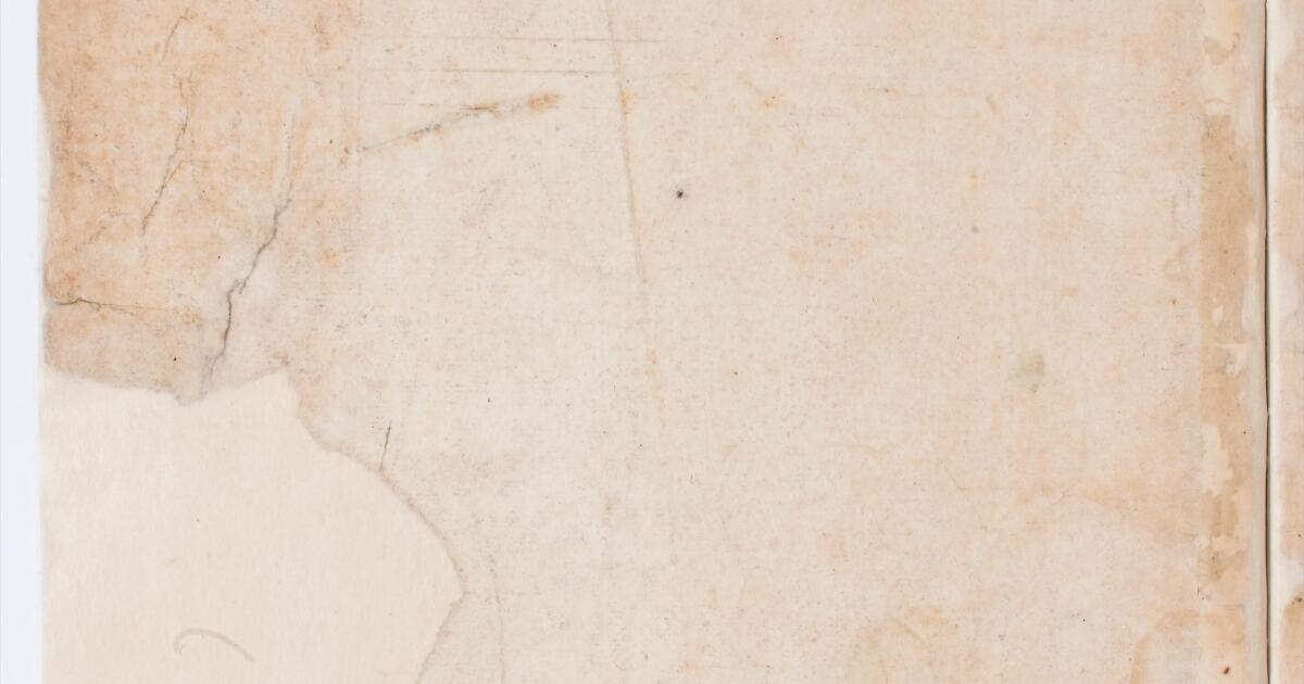 Music : Mathew Holmes lute books