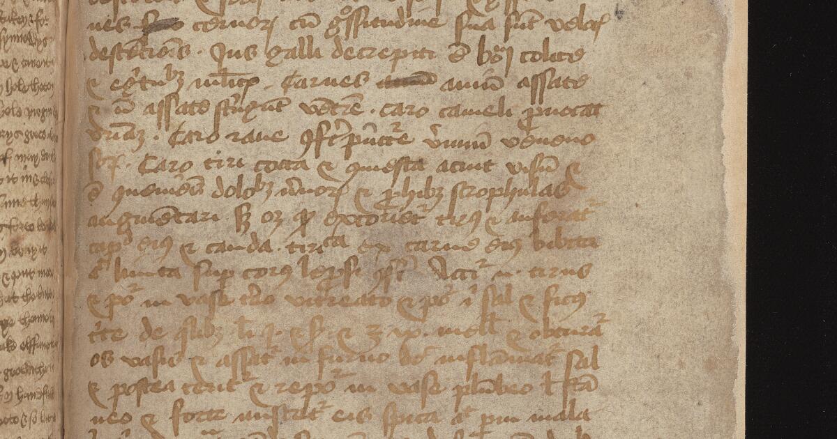 Western Medieval Manuscripts : Medical treatises and recipes
