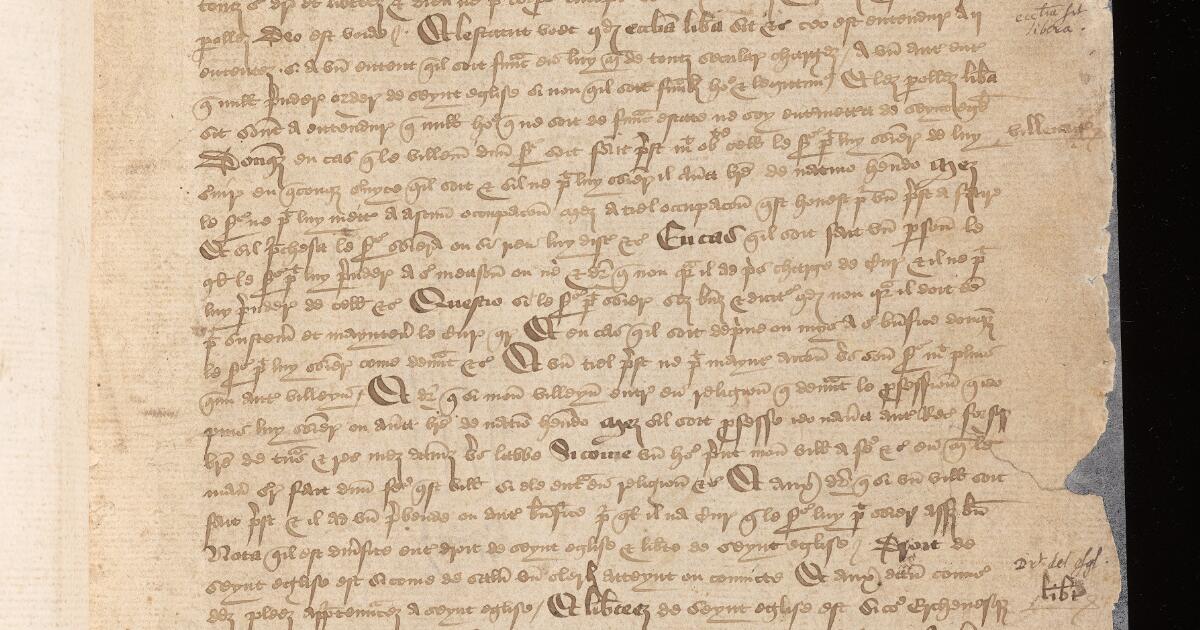 Western Medieval Manuscripts : Legal manuscript - Readings on Statutes
