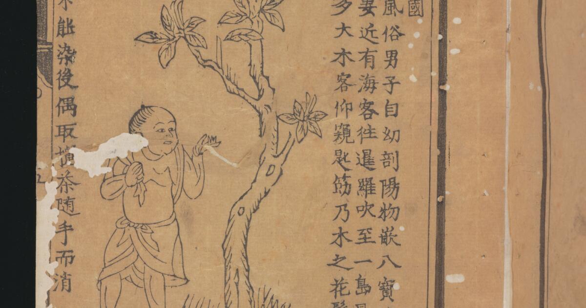 Chinese Works : Yi yu tu zhi