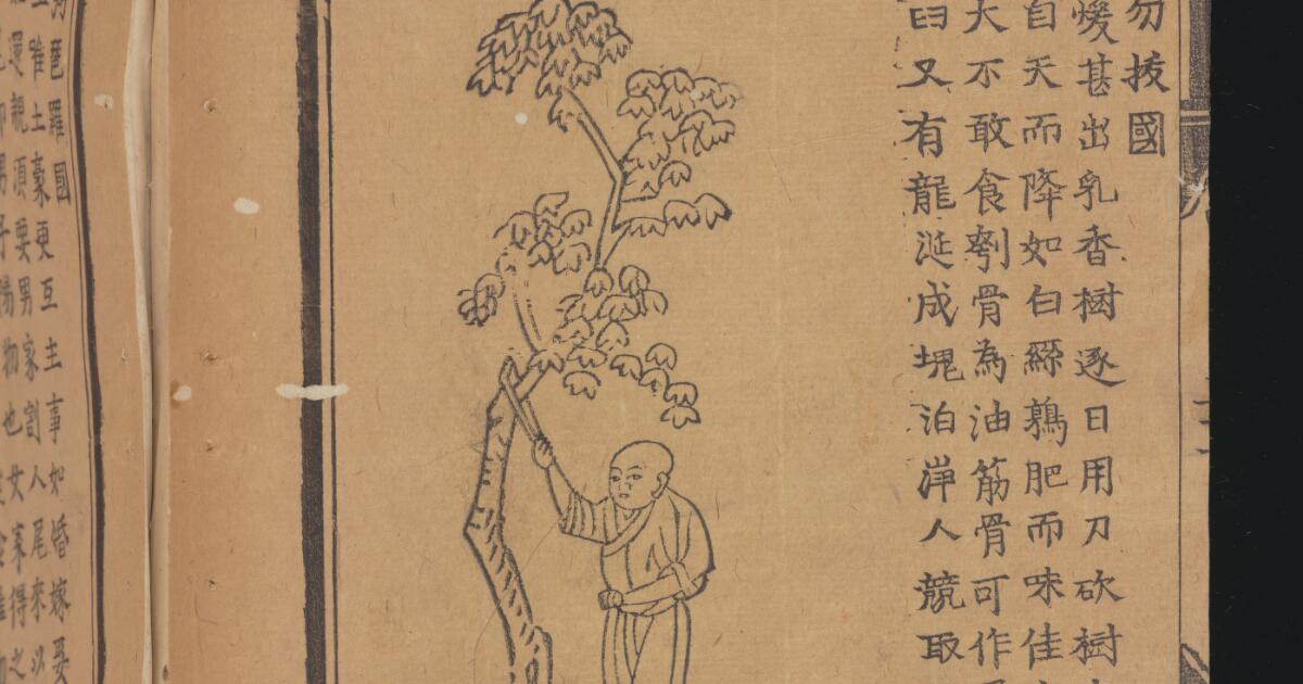 Chinese Works : Yi yu tu zhi