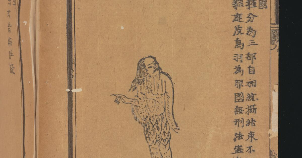 Chinese Works : Yi yu tu zhi