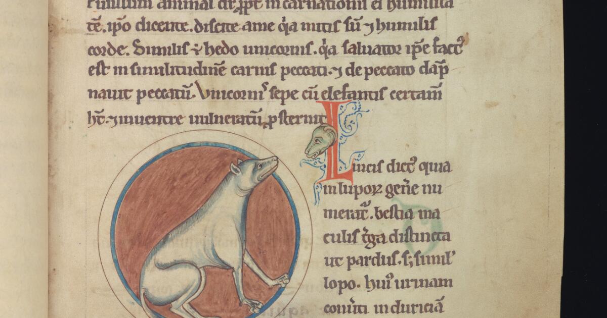 Western Medieval Manuscripts : Bestiary