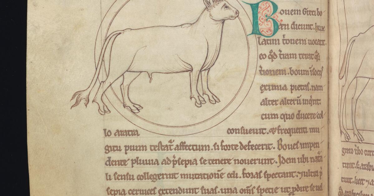 Western Medieval Manuscripts : Bestiary