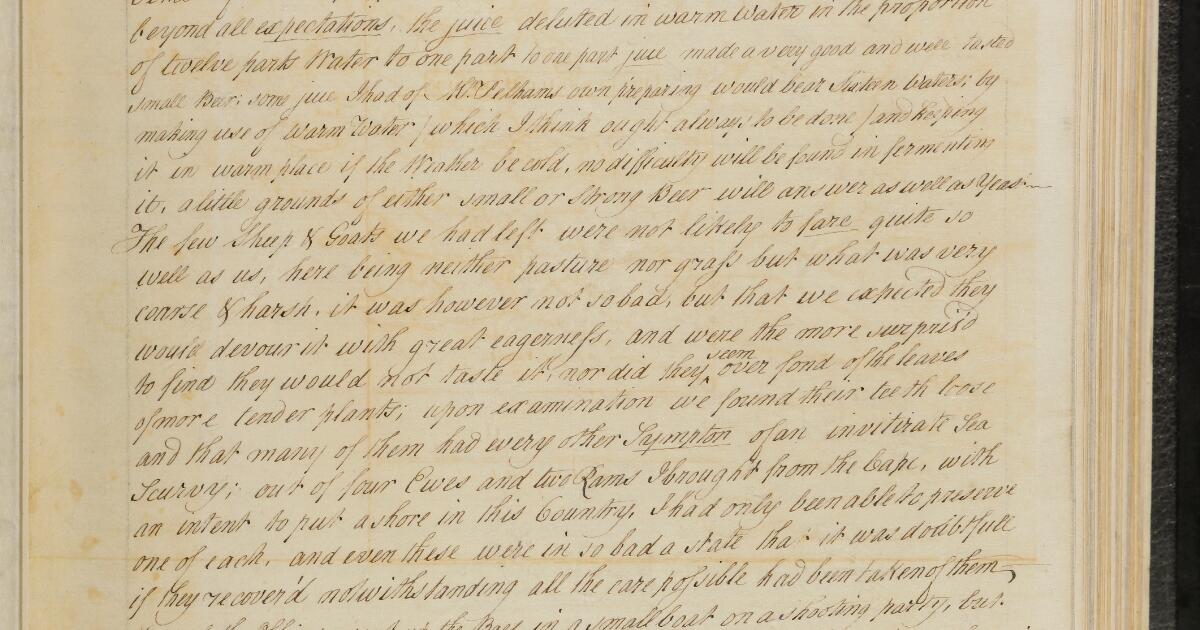 National Maritime Museum Manuscripts : Journal of Captain Cook's voyage ...