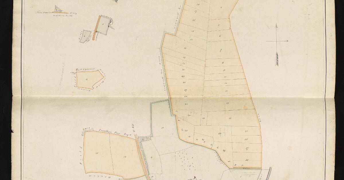 Maps : Plan of Cawdwell Fen, Braham Farm and three glebe pastures in ...