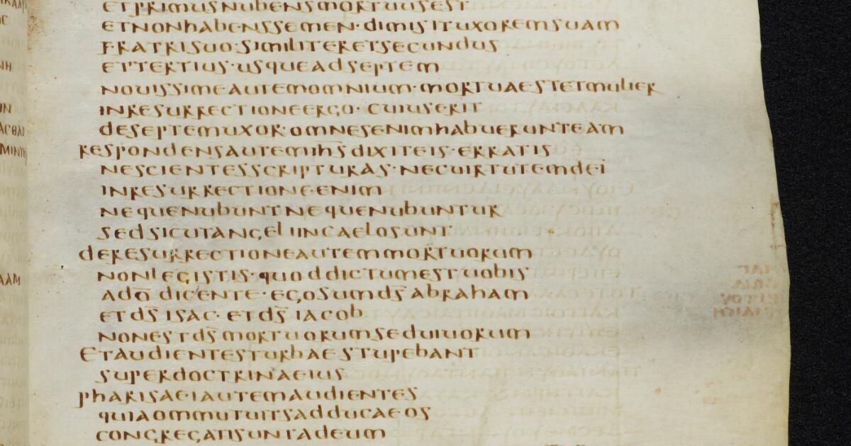 Western Medieval Manuscripts : Codex Bezae