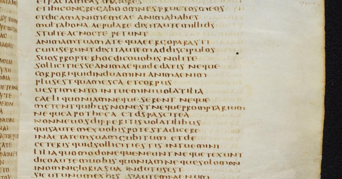 Western Medieval Manuscripts : Codex Bezae
