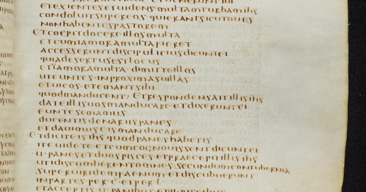 Western Medieval Manuscripts : Codex Bezae