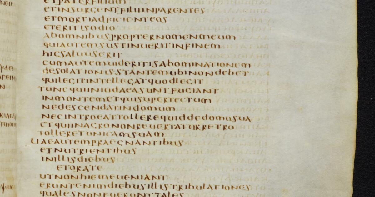 Western Medieval Manuscripts : Codex Bezae
