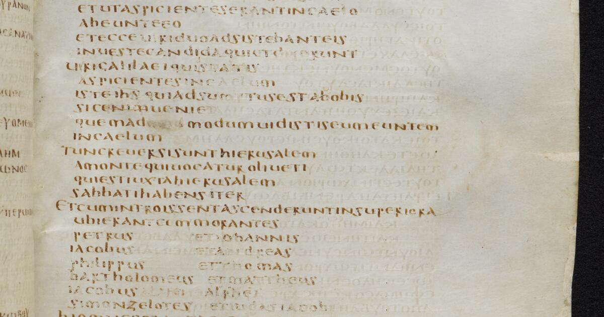 Western Medieval Manuscripts : Codex Bezae