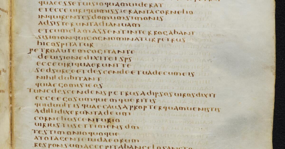 Western Medieval Manuscripts : Codex Bezae