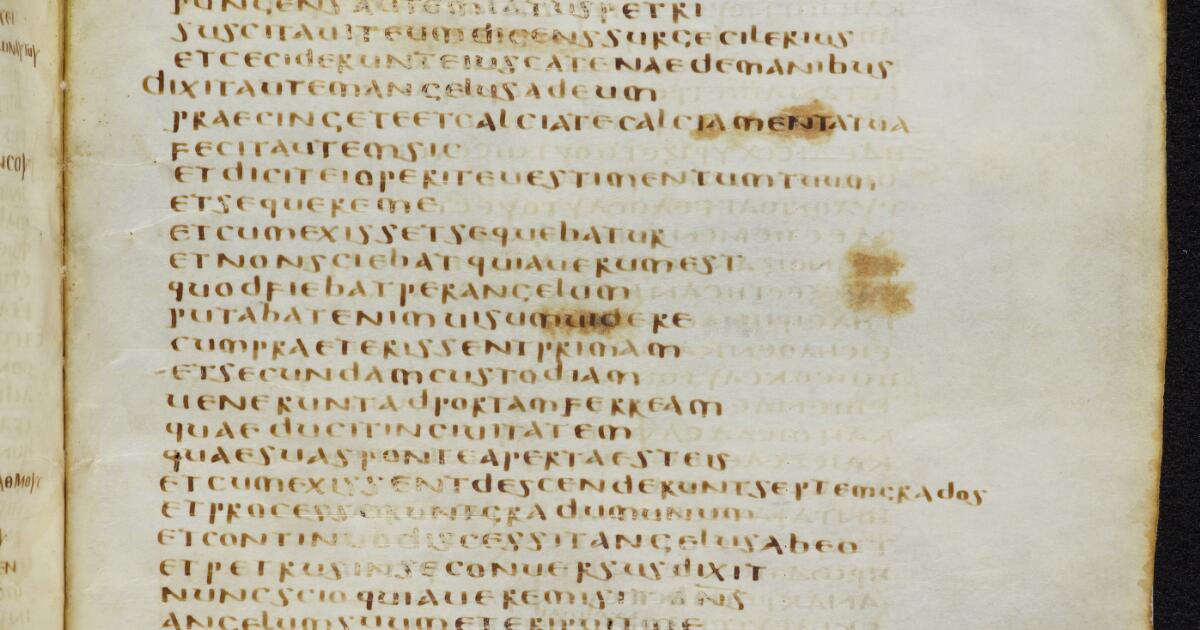 Western Medieval Manuscripts : Codex Bezae
