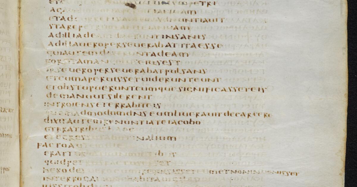 Western Medieval Manuscripts : Codex Bezae