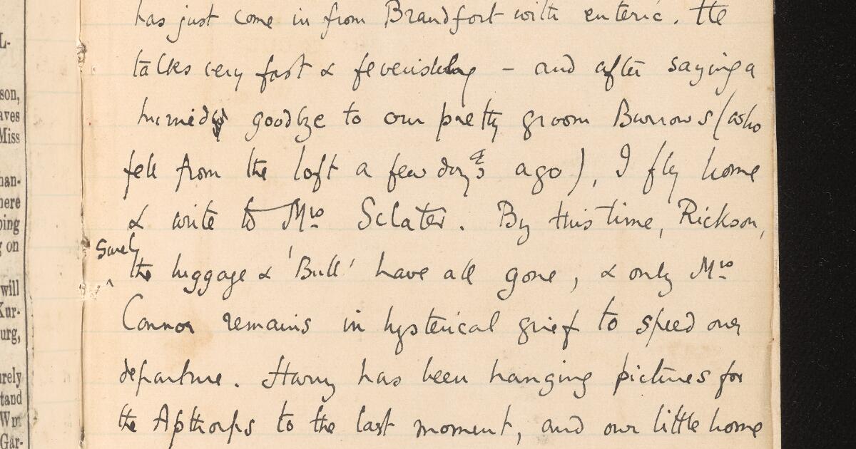 Southern African Collections : Diary of Agnes Wilson in South Africa