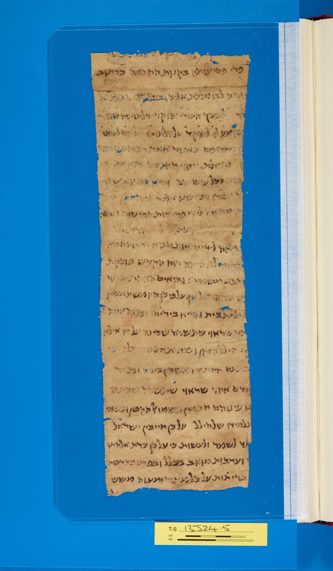 Paraliterary text: T-S 13J24.5